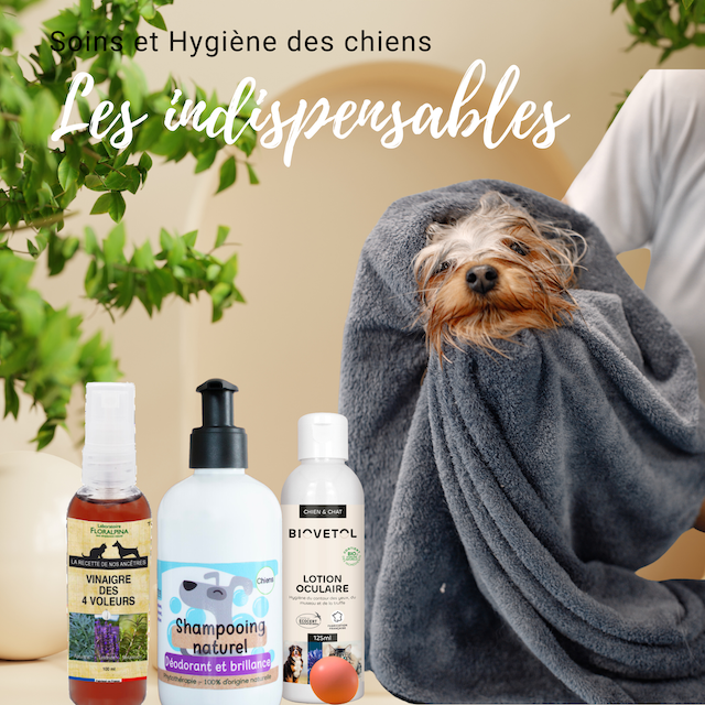 Les indispensables soins et hygiene chien – Naturopapatte