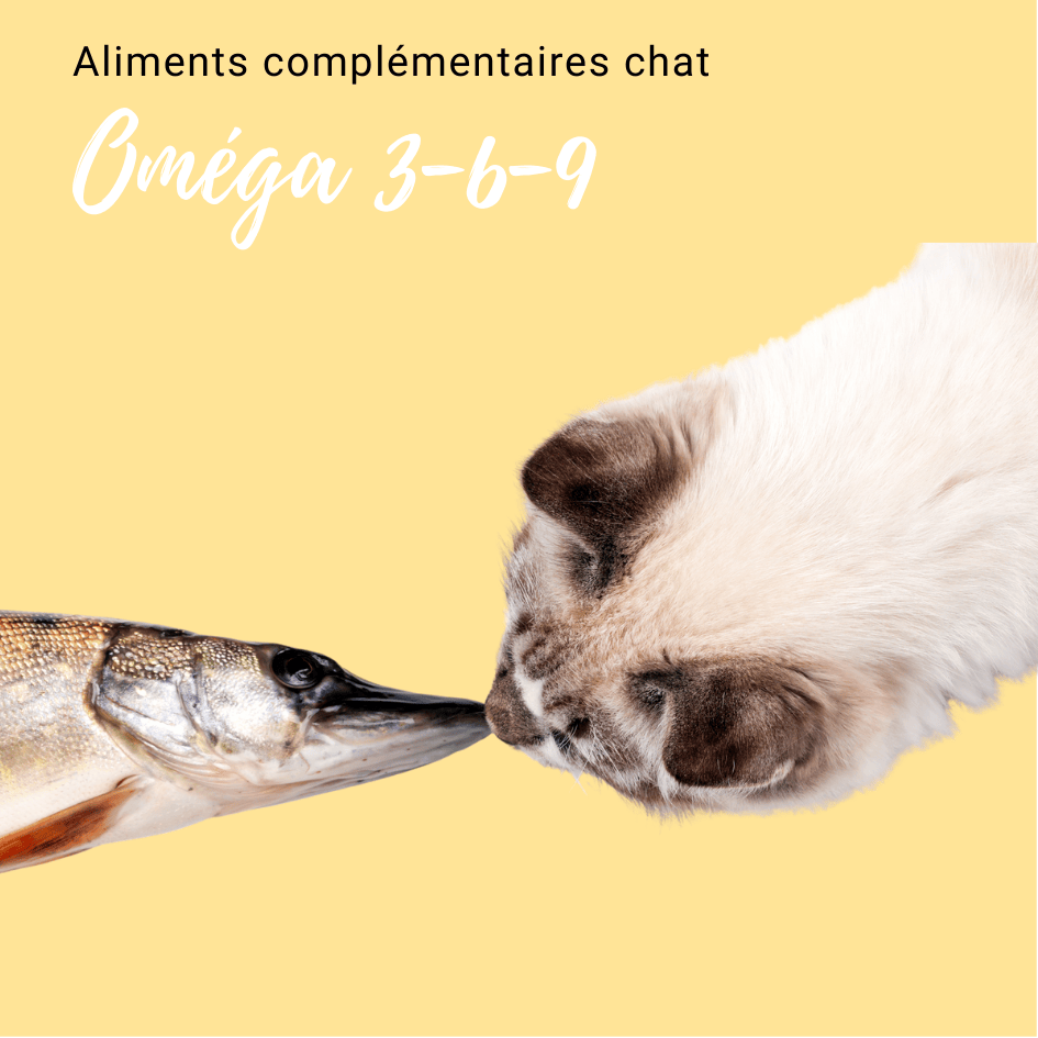 Oméga 3 chat - Solutions 100% naturelles – Naturopapatte