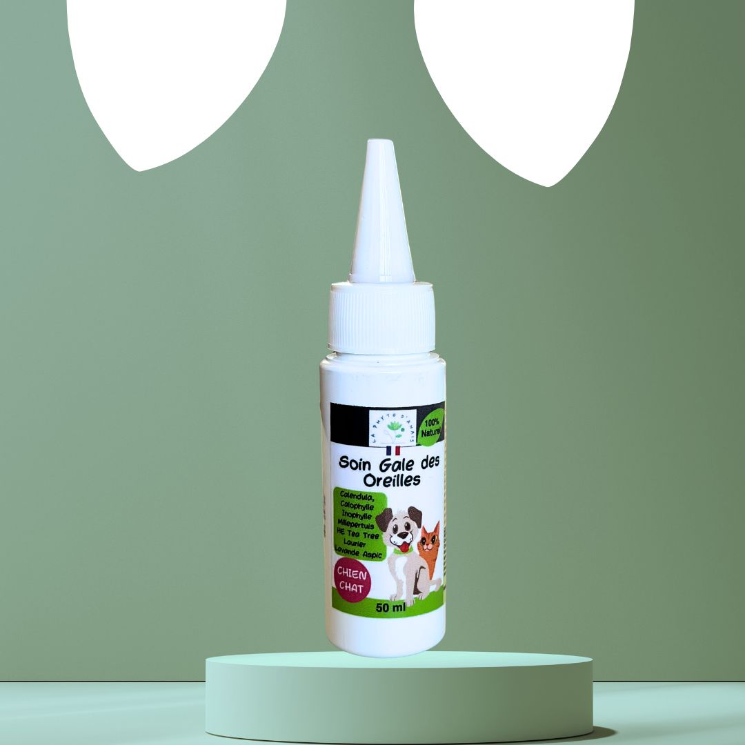 Gale des oreilles chien chat : soin naturel efficace et apaisant ...