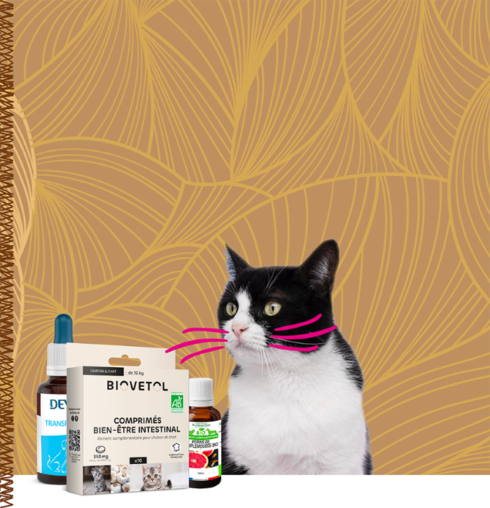 Naturopapatte - Passez au naturel pour vos chiens et chats